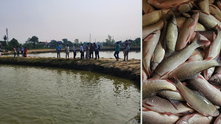 माछाबाट वार्षिक १ करोड कारोबार गर्दै भवानीशङ्कर